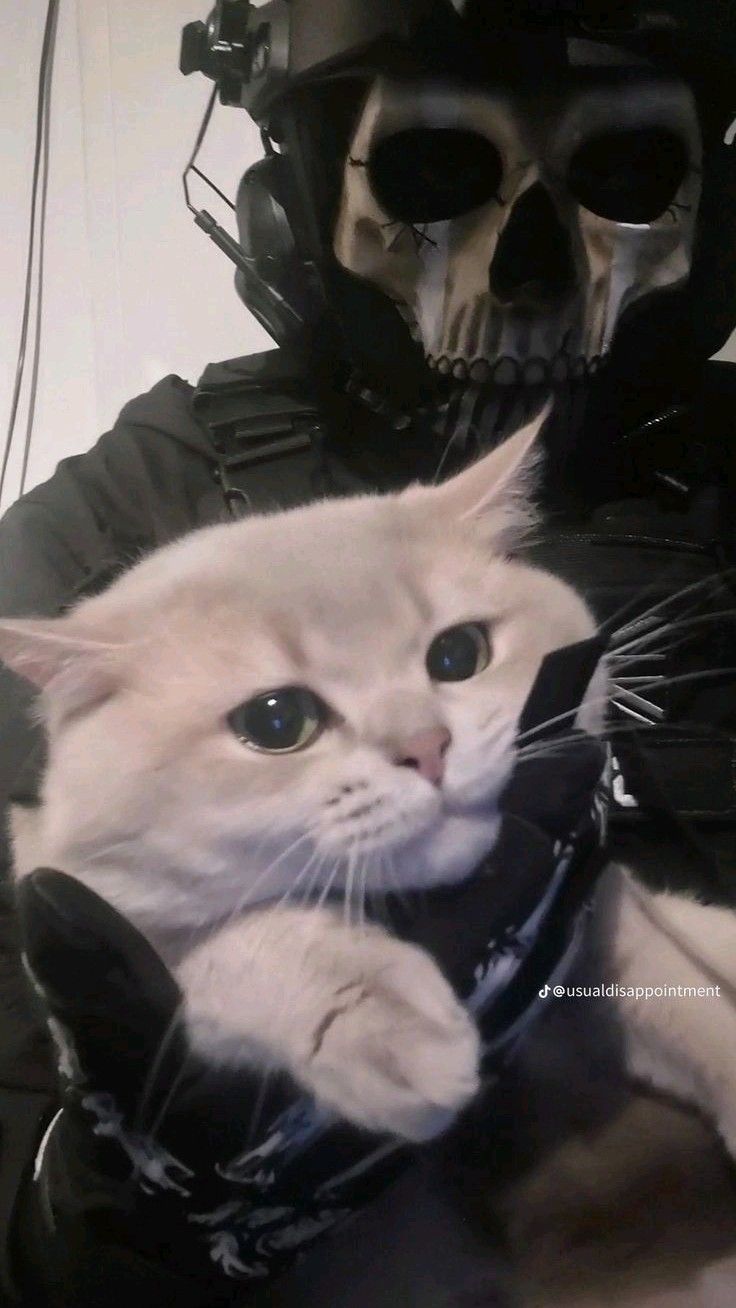 Chat with Ghost | game giant
