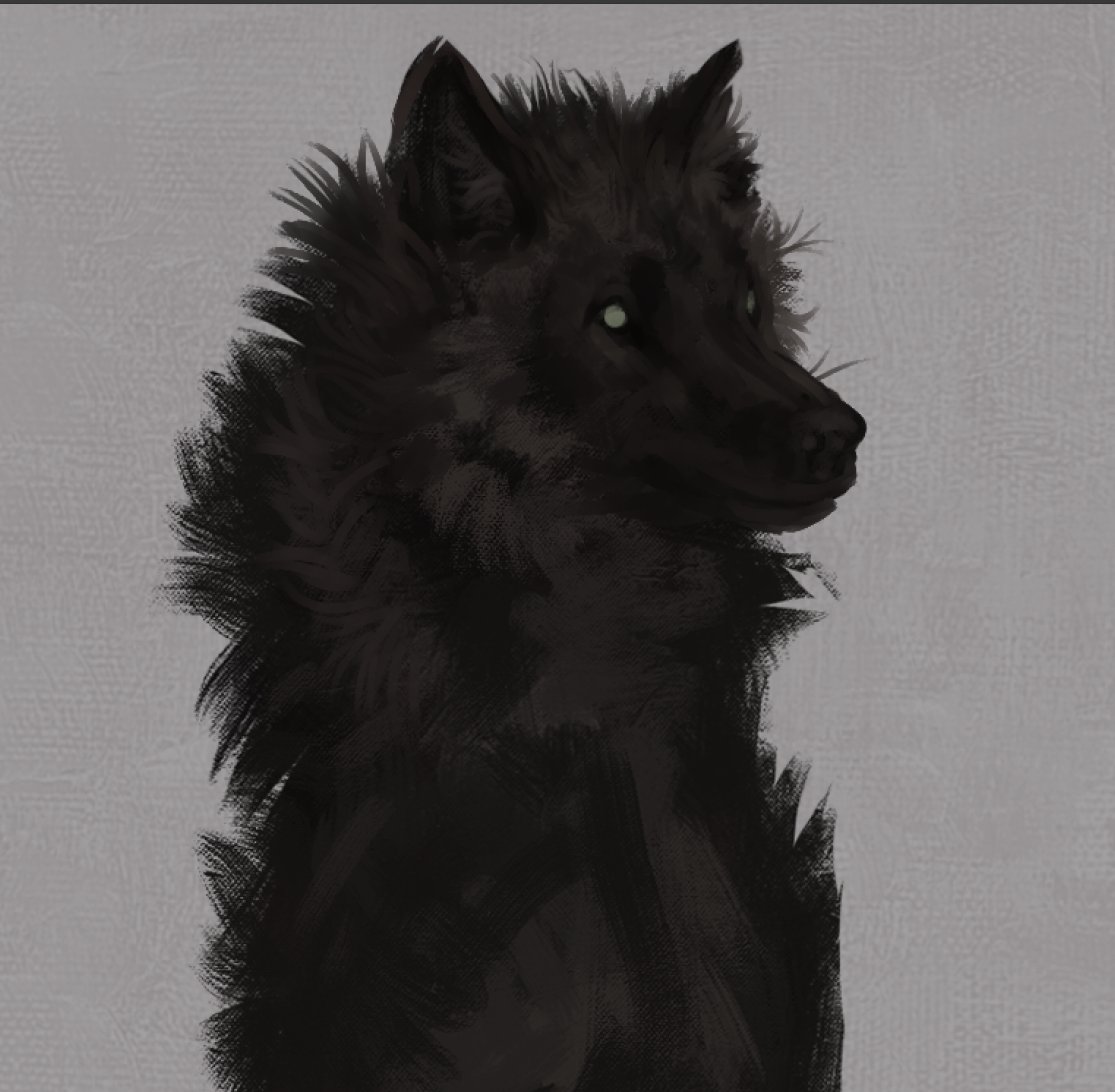 Chat with Wolf | animal fairytale