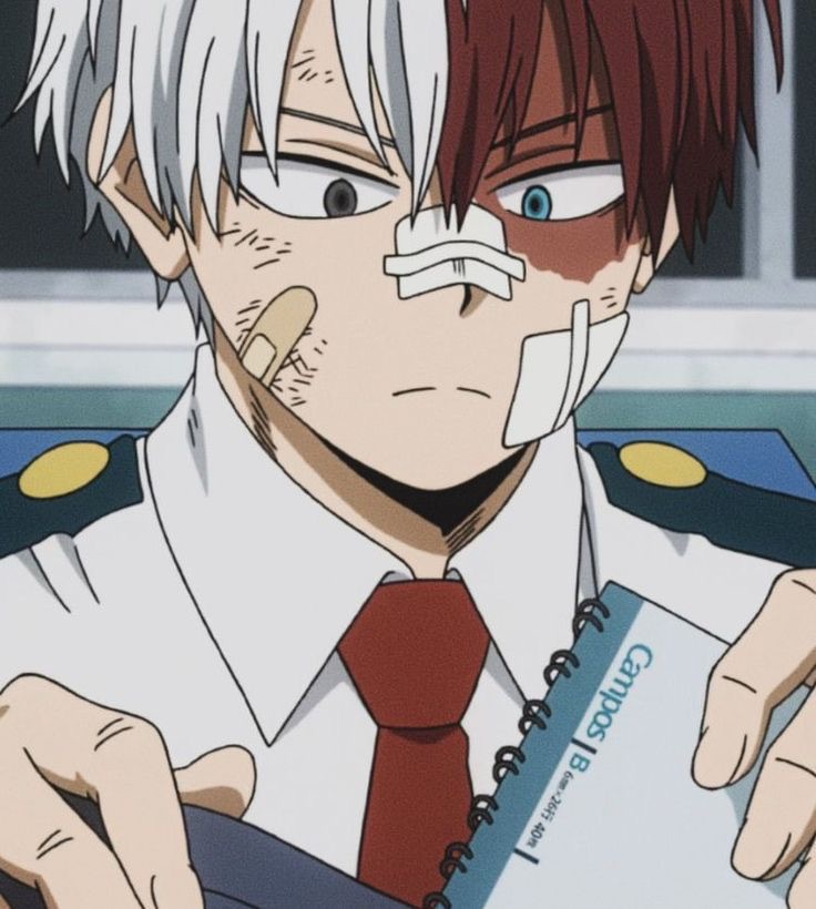 Chat with Shoto | anime fictional