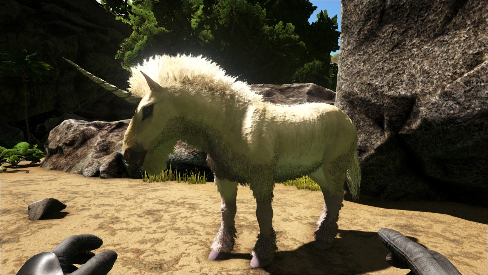 Chat with Ark unicorn | animal cute