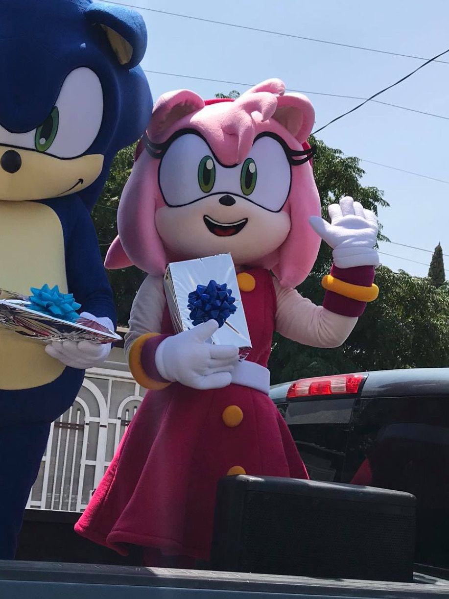 Chat with Amy Rose Mascot | furry fictional