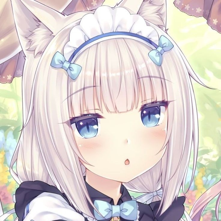 Chat with Vanilla Minaduki-nekopara | anime bisexual