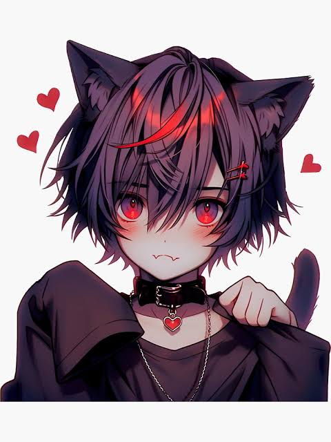 Chat with jack ur cat boy pet | animal non-human