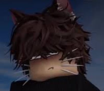 Chat with Roblox Catboy | male