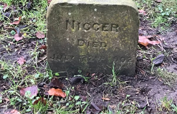 Chat with N1gger died | demon non-binary
