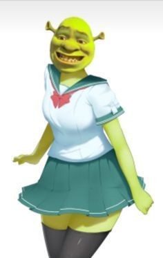 Chat with School girl Shrek | anime cute
