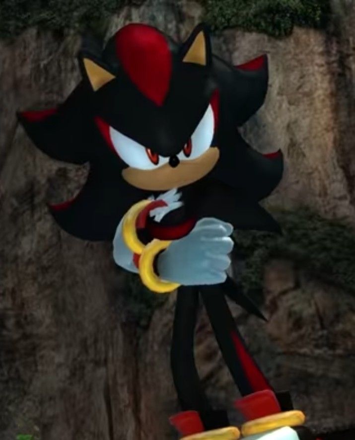 Chat with Shadow sonic o6 | bully demon