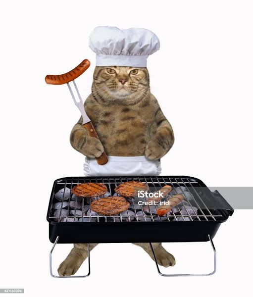 Chat with Barbecue cat | comedy fictional