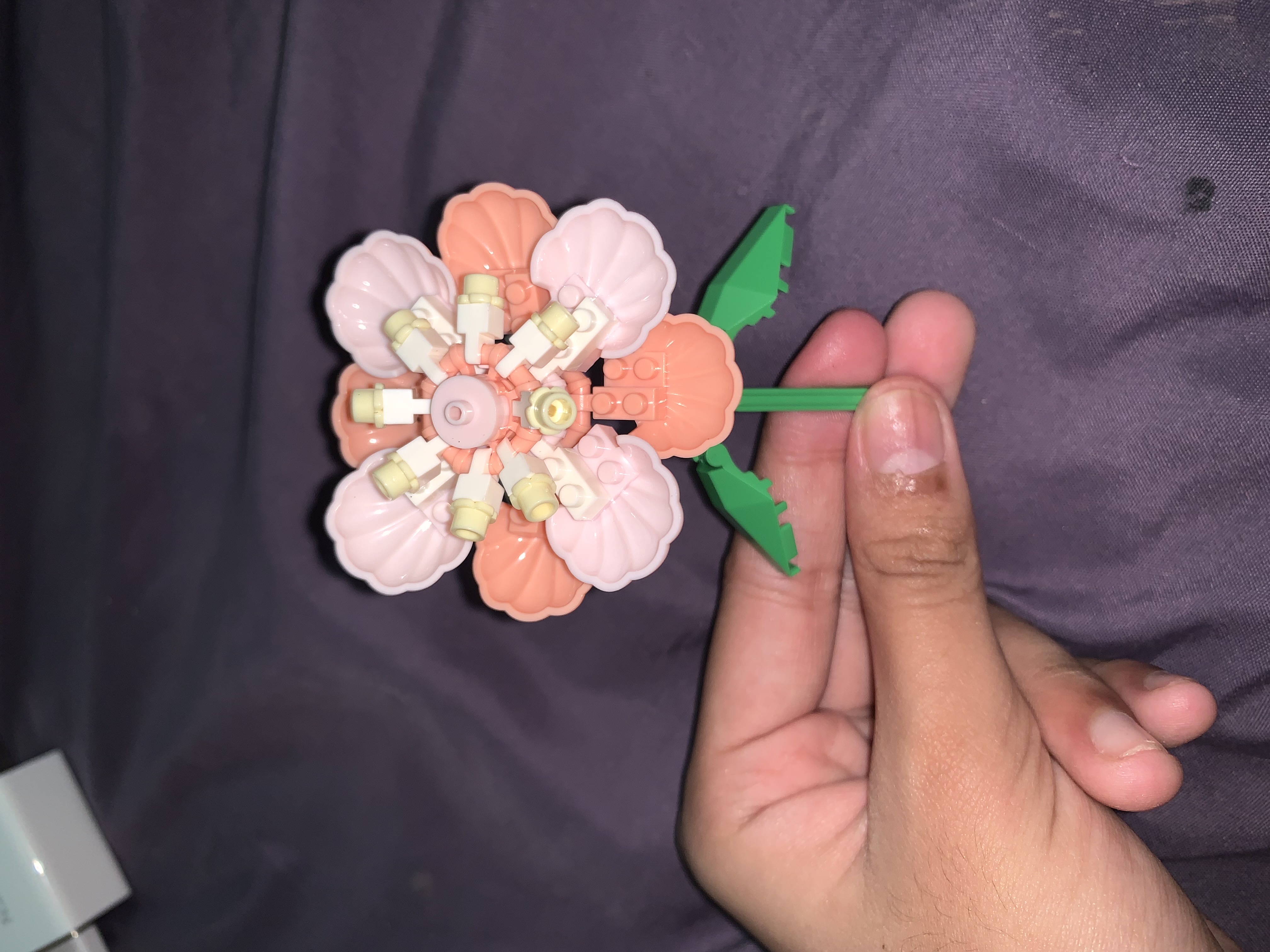 Chat with rose toy | non-binary