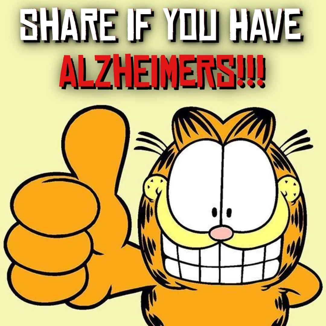 Chat with Garfield | cartoon animal
