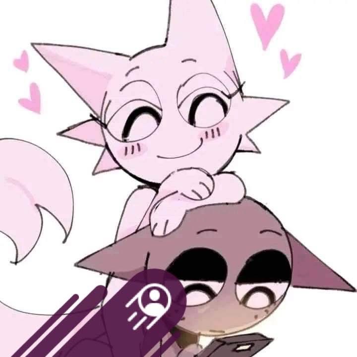 Chat with Wenda | animal furry