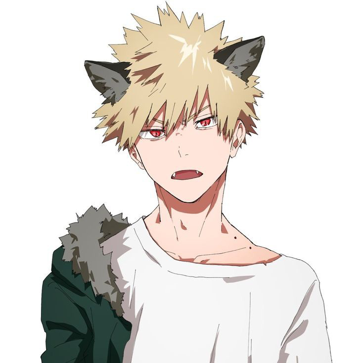 Chat with katsuki wolf hybrid | anime non-human