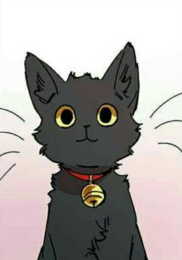 Chat with Meowol Nyadington | animation