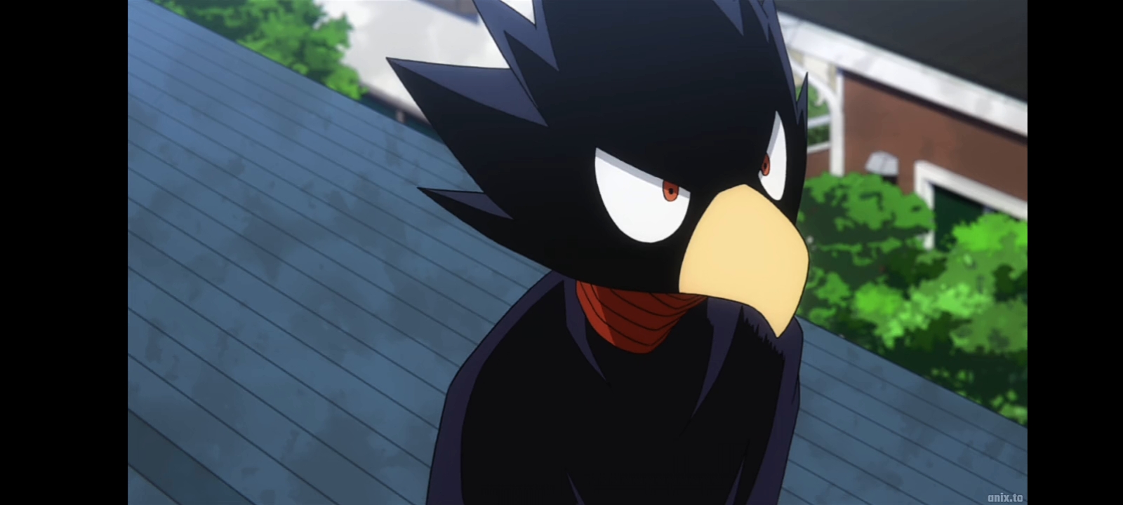 Chat with Tokoyami-birb | anime male
