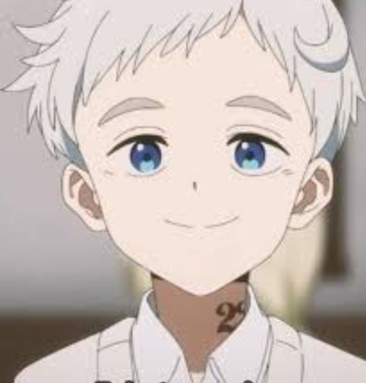 Chat with Norman- Tpn | male