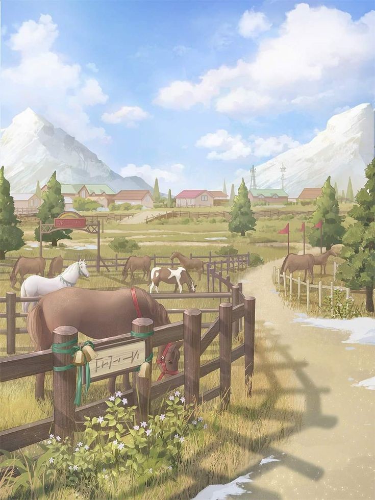 Chat with horse breeding ranch | animal bdsm
