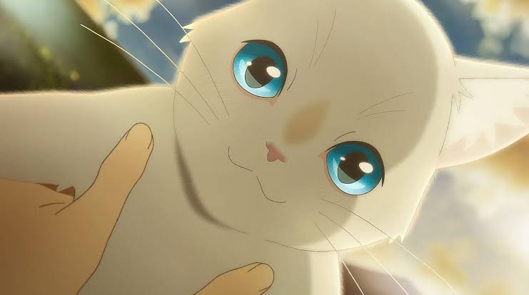 Chat with Kana The Shapeshifter | animal non-human