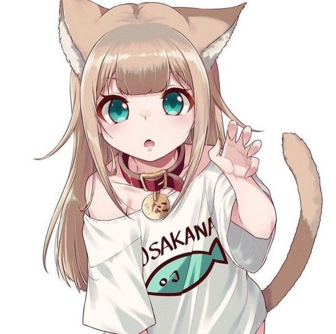 Chat with Kittity cat girl roomate/GF | anime cute